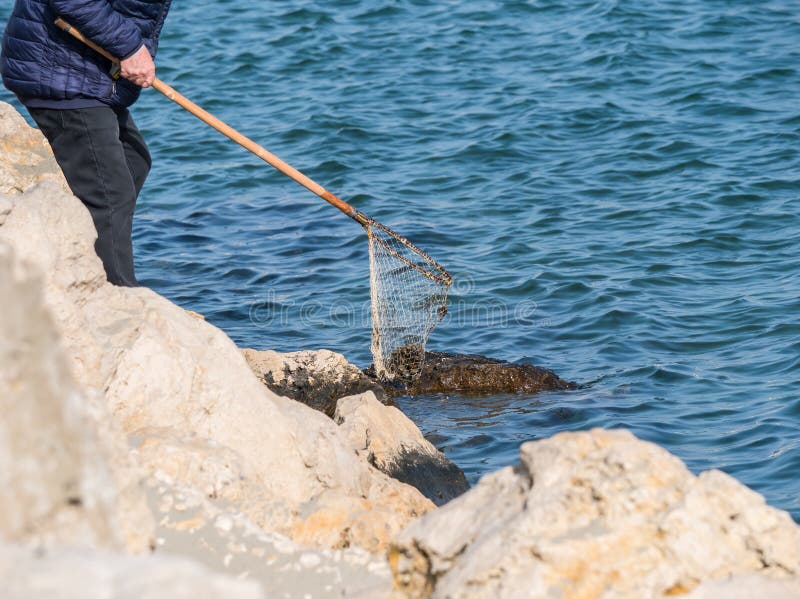 Man with Fishnet Collecting Seashells from the Sea Stock Photo - Image ...