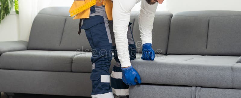 The man fixes the sofa. stock image. Image of wooden - 310091997