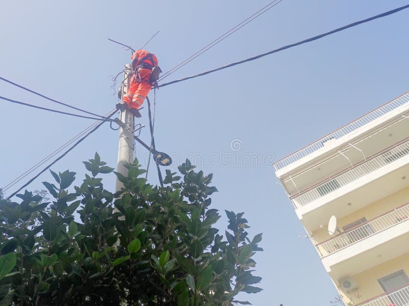 Man Fixing the Electricity Cables on Top of a Utility Pole. Stock Photo ...