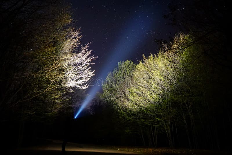 Man with Flashlight in Forest Stock Image - Image of outdoor, flaslight ...