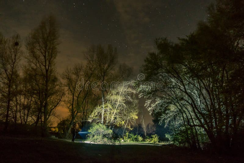 Searching with Flashlight in Outdoor Stock Image - Image of forest ...