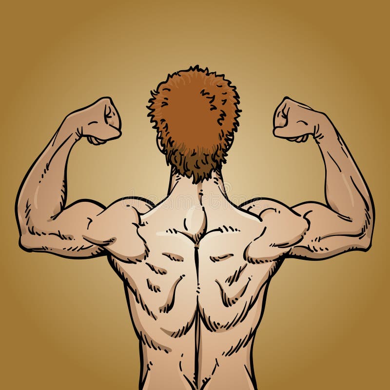 Flexing Muscles Illustrations Royaltyfree Vector Muscle Man Vector