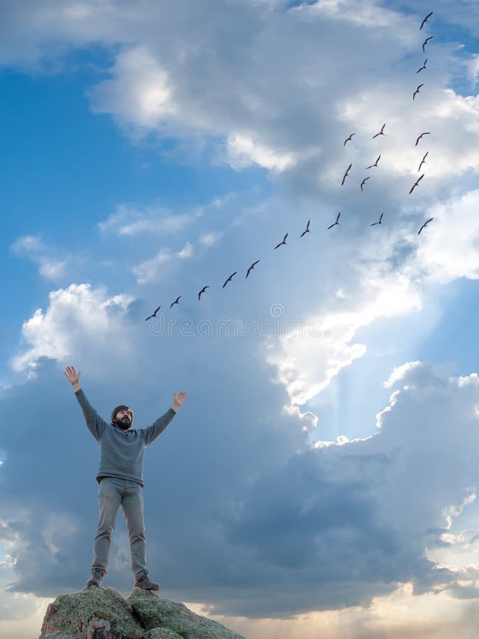A Man and Flight of Flying Birds Stock Photo - Image of flight, bird ...