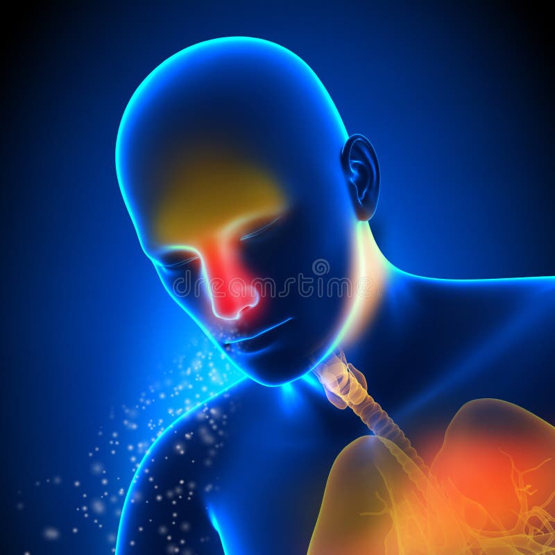 Man with Flu - Cold in the Head - Sneezing Anatomy Concept Stock ...