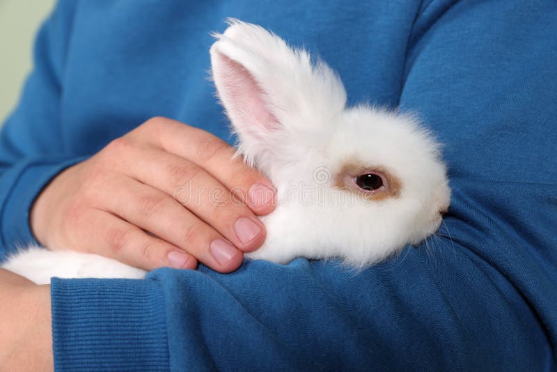 Man with Fluffy White Rabbit, Closeup. Cute Pet Stock Image - Image of ...