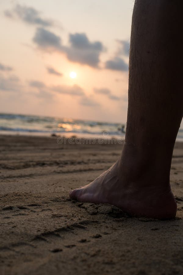 Man Foot at the Beach in the Sunset Stock Image - Image of woman ...