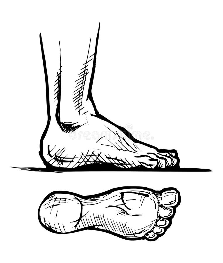 Hand Drawn Human Footprint Stock Illustrations – 239 Hand Drawn Human ...