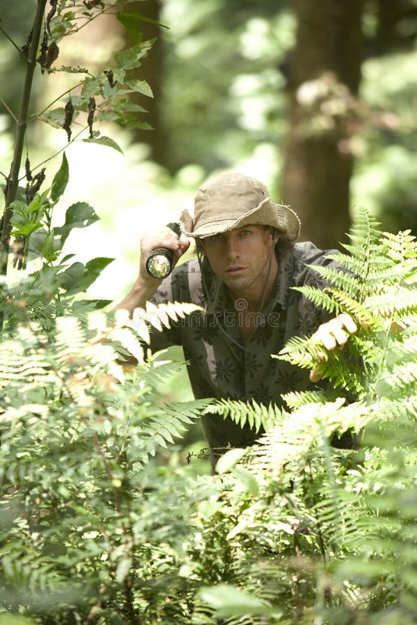 Man through Forest stock image. Image of monotone, ferns - 25327183