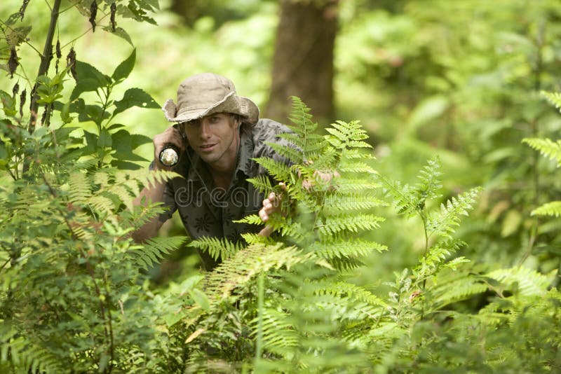 Man through Forest stock image. Image of monotone, ferns - 25327183