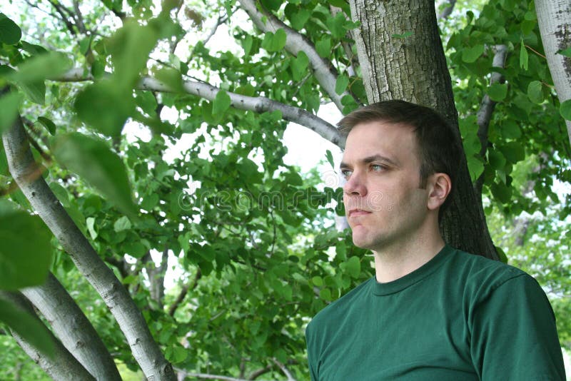 Man in Forest stock image. Image of trees, fashion, handsome - 5247515