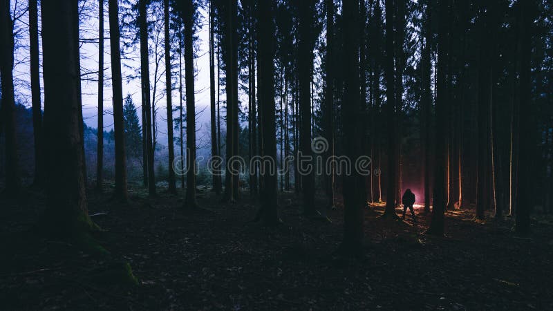 Man in forest stock image. Image of setting, copse, forest - 65891237