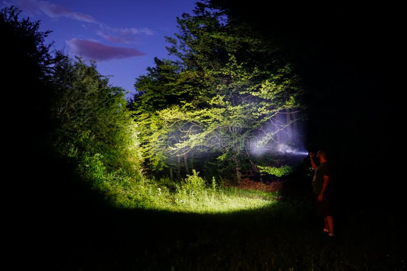 Man in forest at night stock photo. Image of wilderness - 95850856