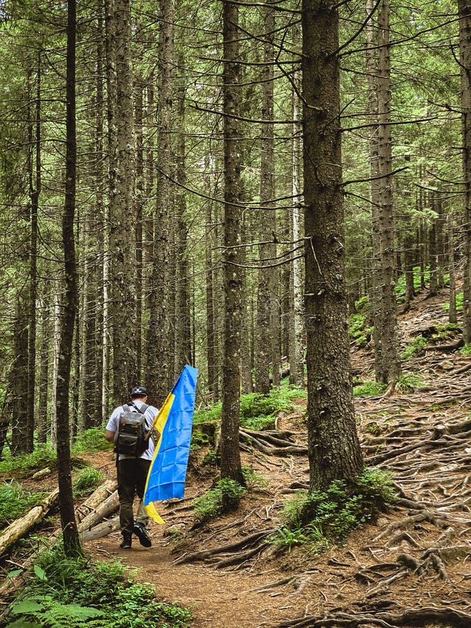 A Man in the Forest with a Ukrainian Flag Stock Photo - Image of travel ...