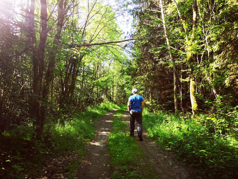 Man walking in forest stock image. Image of outdoors - 45020619