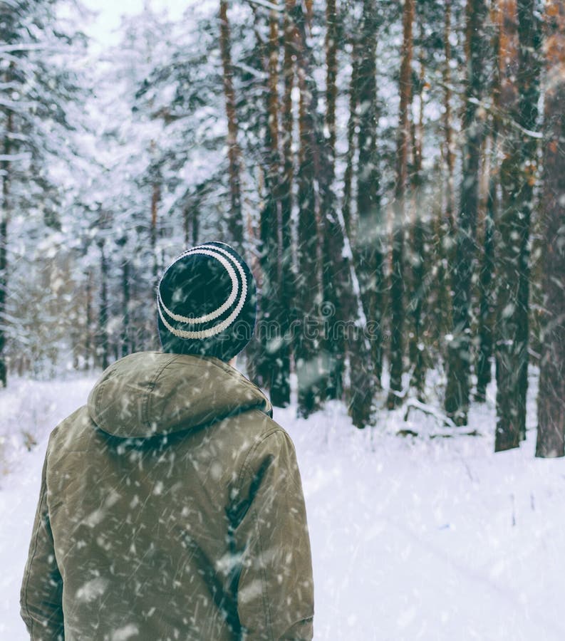 Man in Forest stock image. Image of landscape, country - 85231659