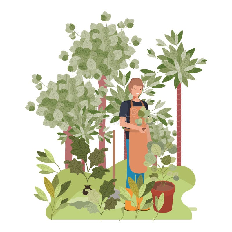 Man Gardeners with Tree Avatar Character Stock Vector - Illustration of ...