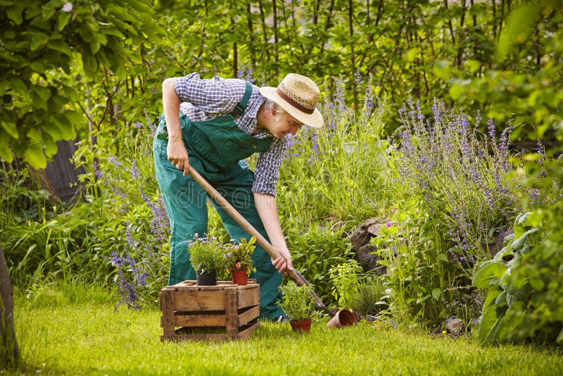 Man dog gardening work stock photo. Image of overlocking - 55783074