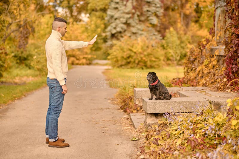A Man Giving a Command To His Dog Stock Image - Image of outdoors ...