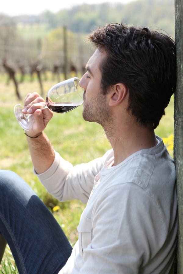 Man with glass of wine stock image. Image of field, fruit - 23696633