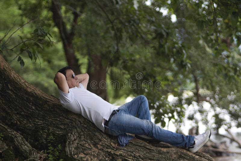 Man with Glasses Resting Under a Tree Stock Photo - Image of peacetime ...
