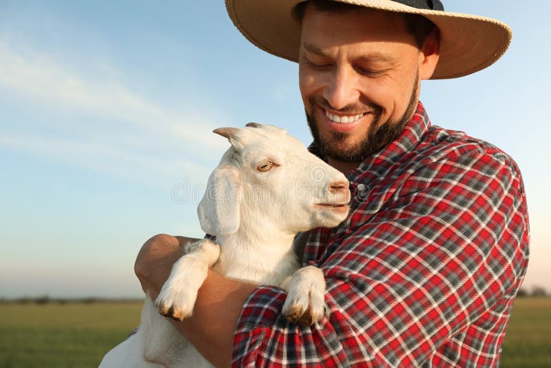 Man with Goat at Farm. Animal Husbandry Stock Photo - Image of fauna ...