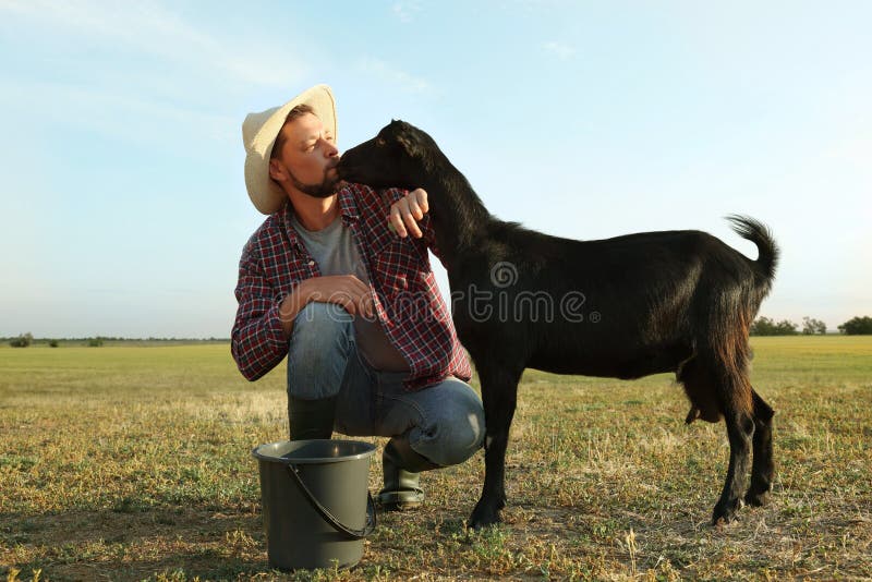 Man with Goat at Farm. Animal Husbandry Stock Photo - Image of ...