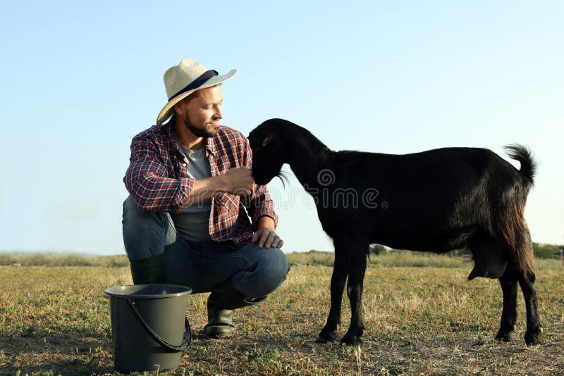 Man with Goat at Farm. Animal Husbandry Stock Image - Image of happy ...