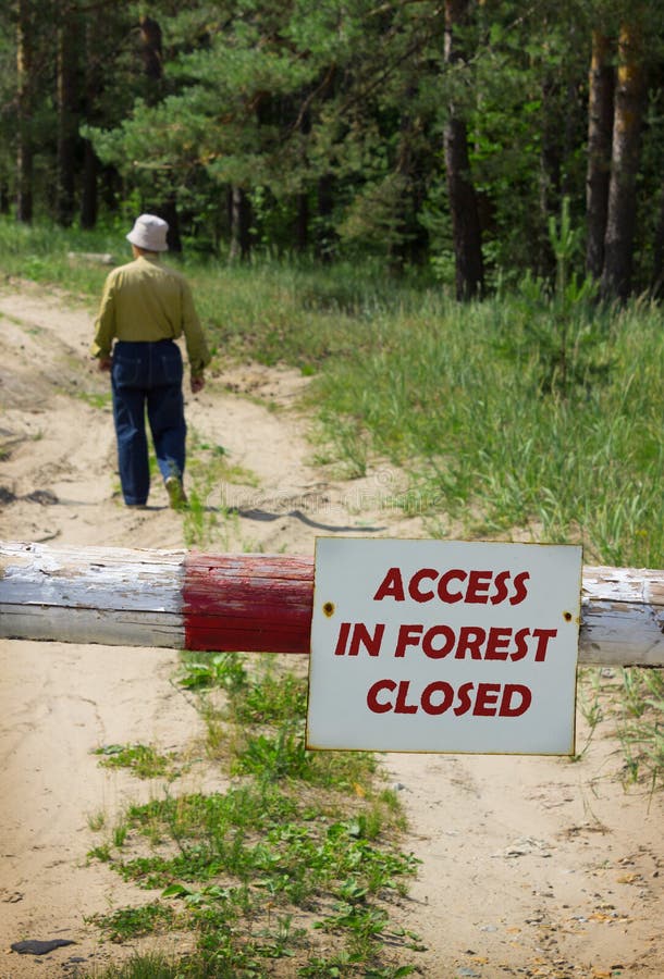 Man Goes into Forest in Fire-dangerous Period, Ignoring Ban Stock Image ...