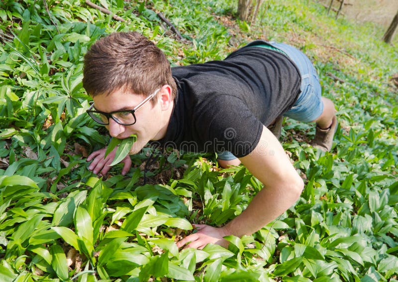 Man grazing stock image. Image of humor, crazy, stupid - 24109323