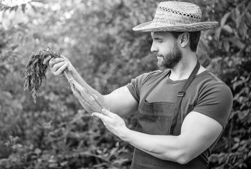 Man Greengrocer in Straw Hat with Carrot Vegetable Stock Photo - Image ...