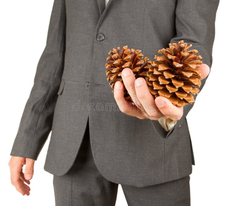 Man in Grey Suit is Holding Two Pine Cones Stock Image - Image of ...