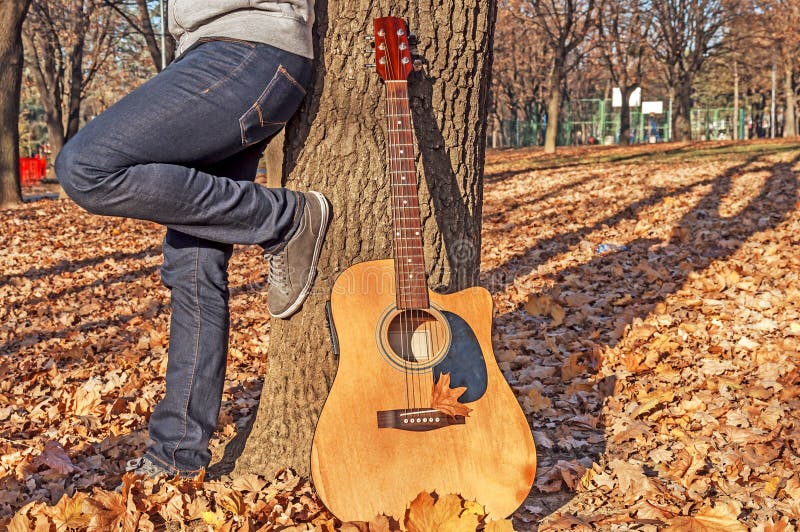 139 Guitar Leaning Tree Stock Photos - Free & Royalty-Free Stock Photos ...