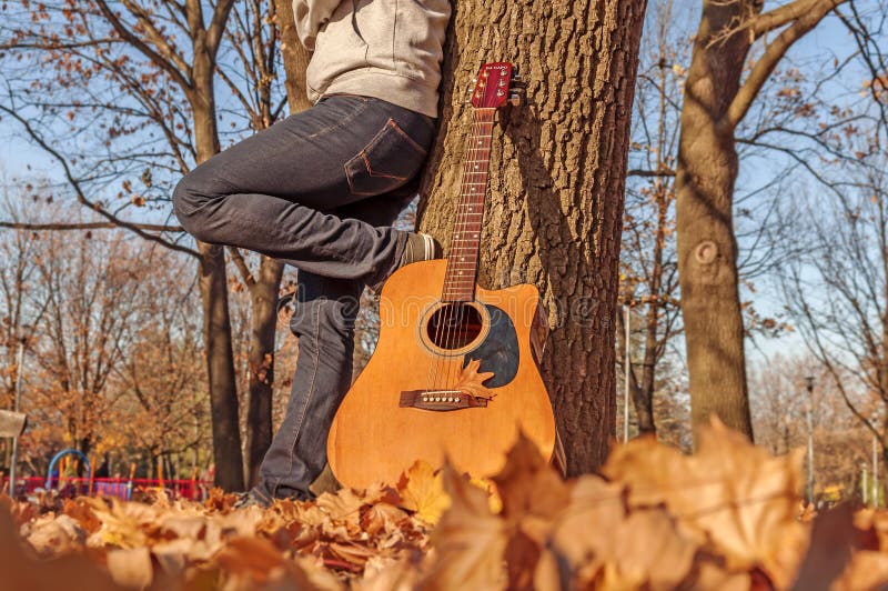 133 Guitar Leaning Tree Photos - Free & Royalty-Free Stock Photos from ...