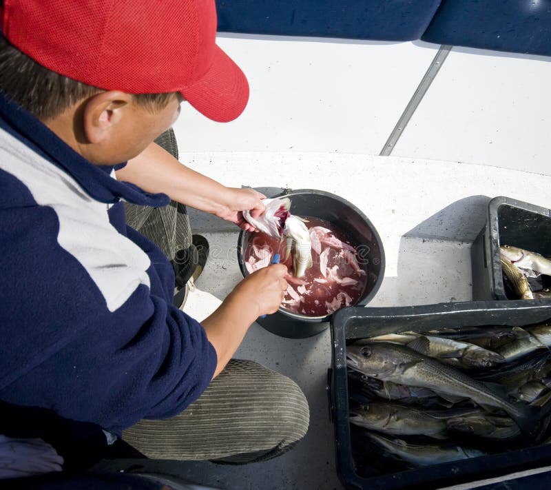 Cleaning fish stock photo. Image of fish, food, finger - 10544086