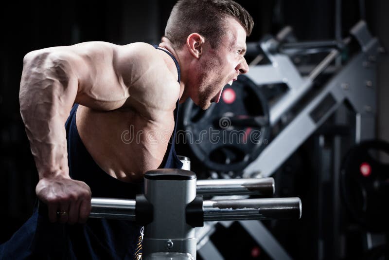 Man in gym at dip exercise stock photo. Image of muscular - 58911518