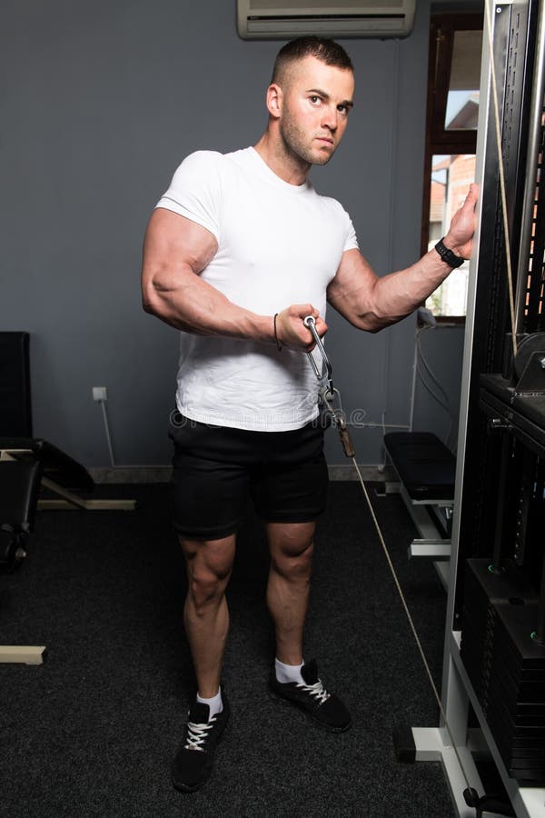 Bodybuilder Doing Heavy Weight Exercise for Biceps Stock Image - Image ...