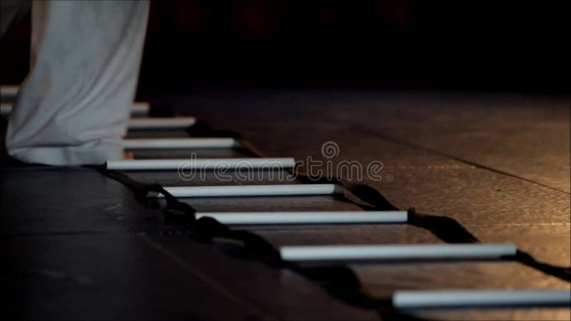 Ladder for Boxing Ring Concept Martial Arts, MMA Stairs Ladder Ring ...