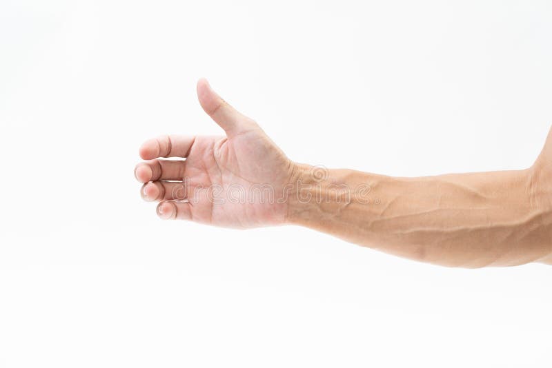 Man Hand Arm on White Background Stock Image - Image of blank, isolated ...