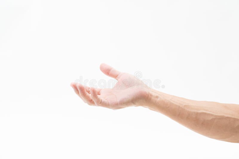 Man Hand Arm on White Background Stock Photo - Image of adult, picking ...