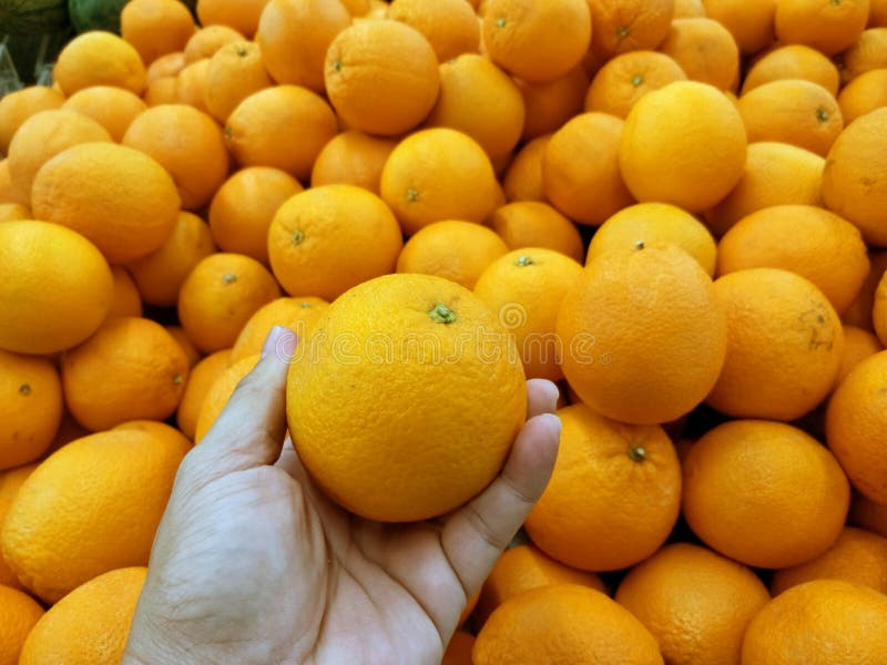 Man Hand Choosing Valencia Orange in the Supermarket Stock Image ...