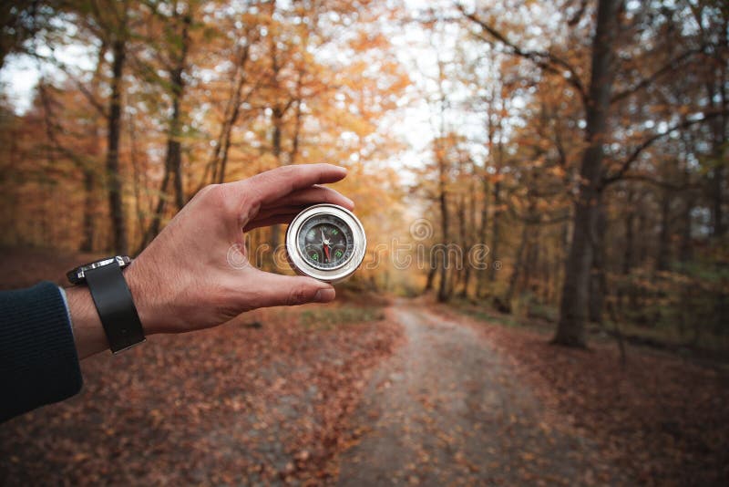 Man hand compass in forest stock photo. Image of navigation - 191825006