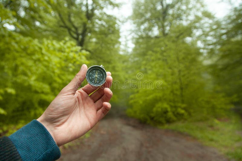 Man hand compass in forest stock photo. Image of equipment - 210881880