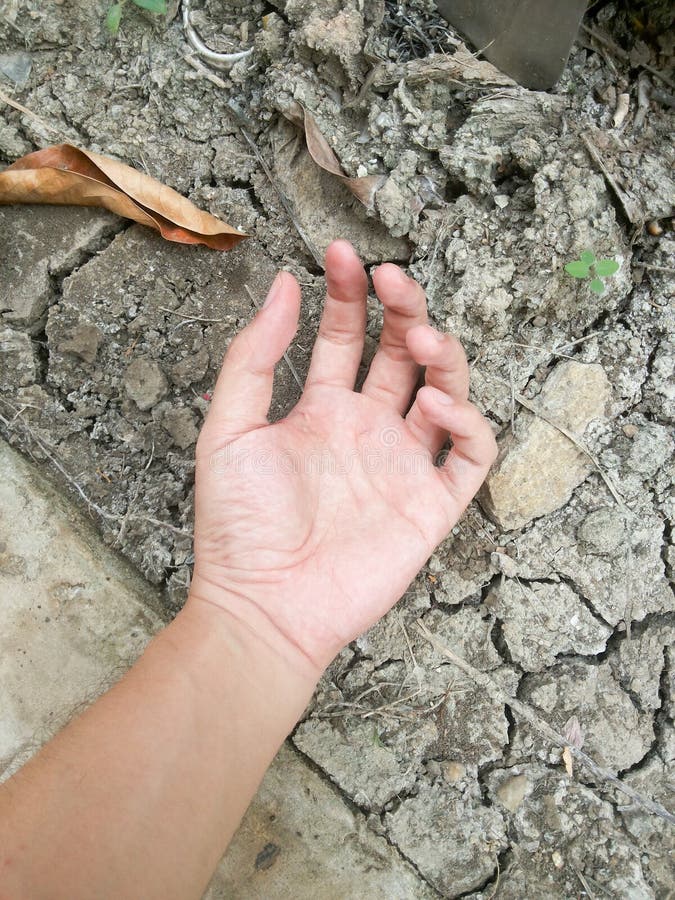 Man hand on crack soil stock photo. Image of hand, crack - 116501746