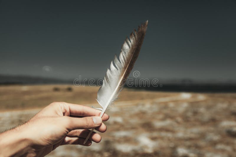 Hand and feather stock image. Image of cheerful, feather - 5750387