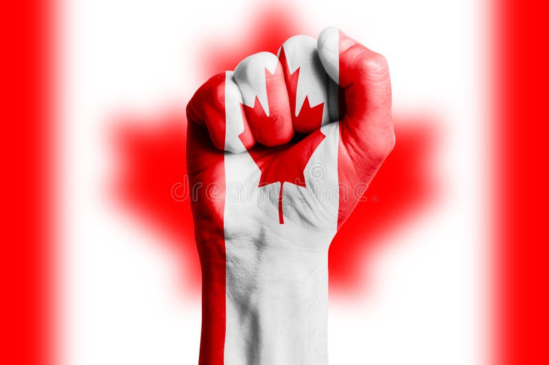 Man Hand Fist of CANADA Flag Painted. Close-up. Stock Image - Image of ...