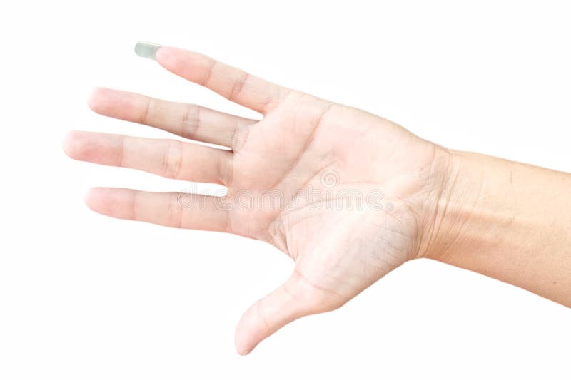 104 Muscle Hand Holding Something Stock Photos - Free & Royalty-Free ...