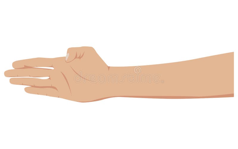 Man Hand. Hand Isolated on White Background Stock Vector - Illustration ...