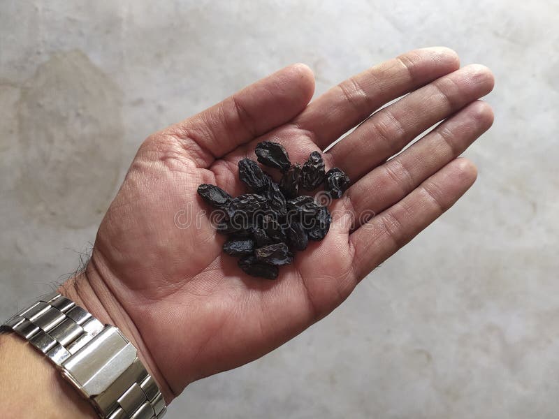 Man Hand Holding Black Raisin. Dried Grapes Stock Image - Image of ...