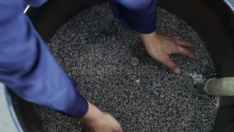 Man Hand Holding PP Pet POLYPROPYLENE Chips Semi Dull, PET Chips ...