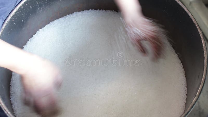 Man Hand Holding PP Pet POLYPROPYLENE Chips Semi Dull, PET Chips ...